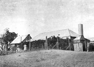 William Henry Hickmott